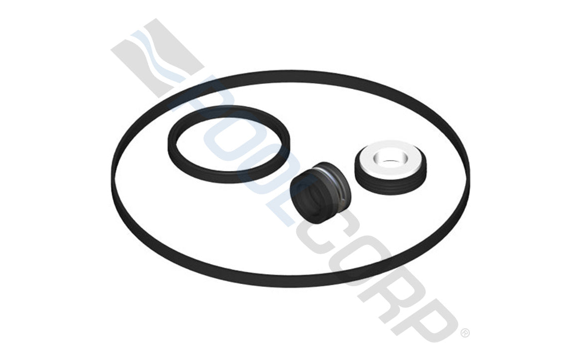 SPX 1600 TRA Super Pump Seal Assembly Kit – Pool Busters Fonthill